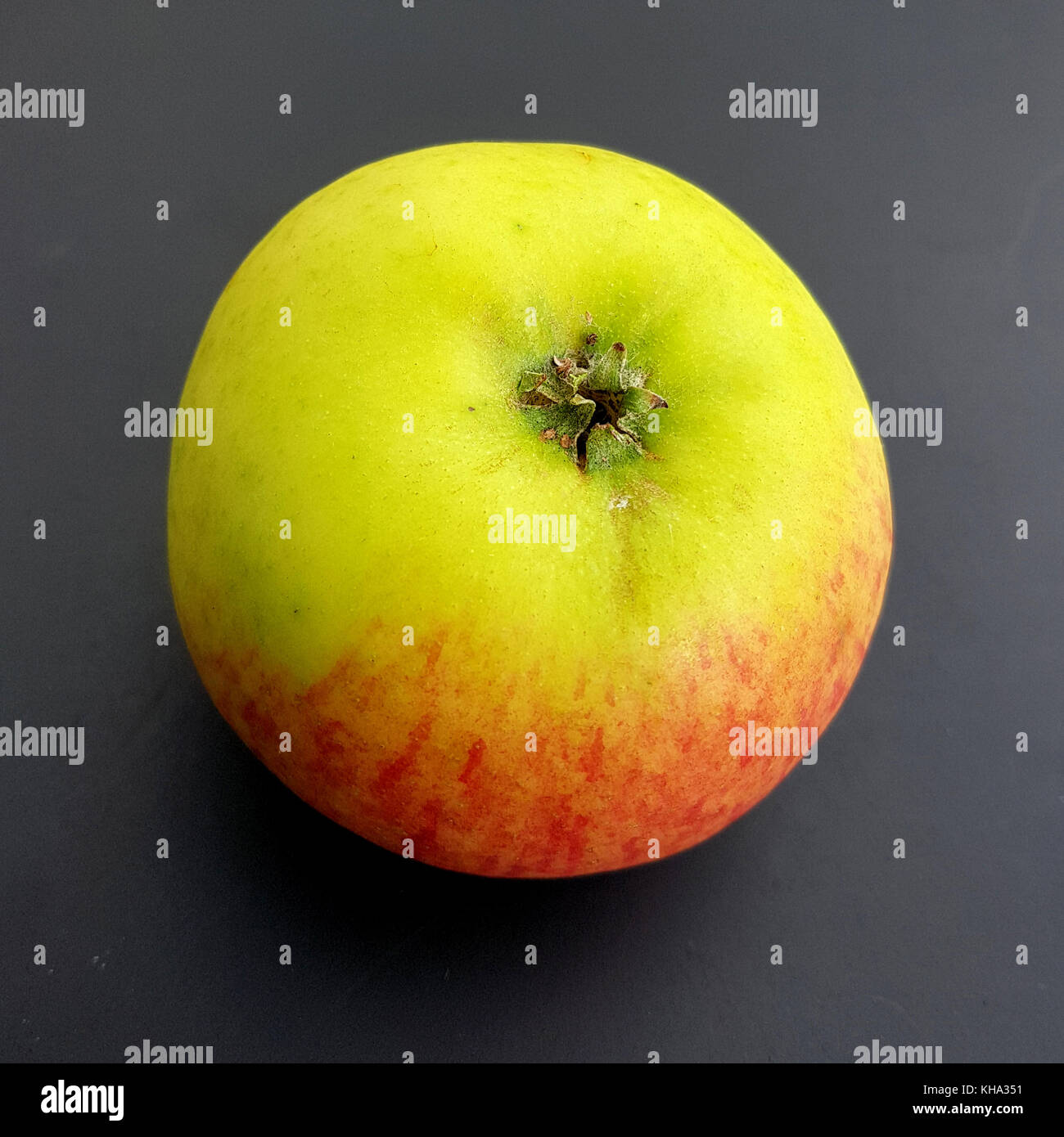 Hansa Prinz, Hansa Renette, Apfel, Malus, domestica, Alte Apfelsorte ...