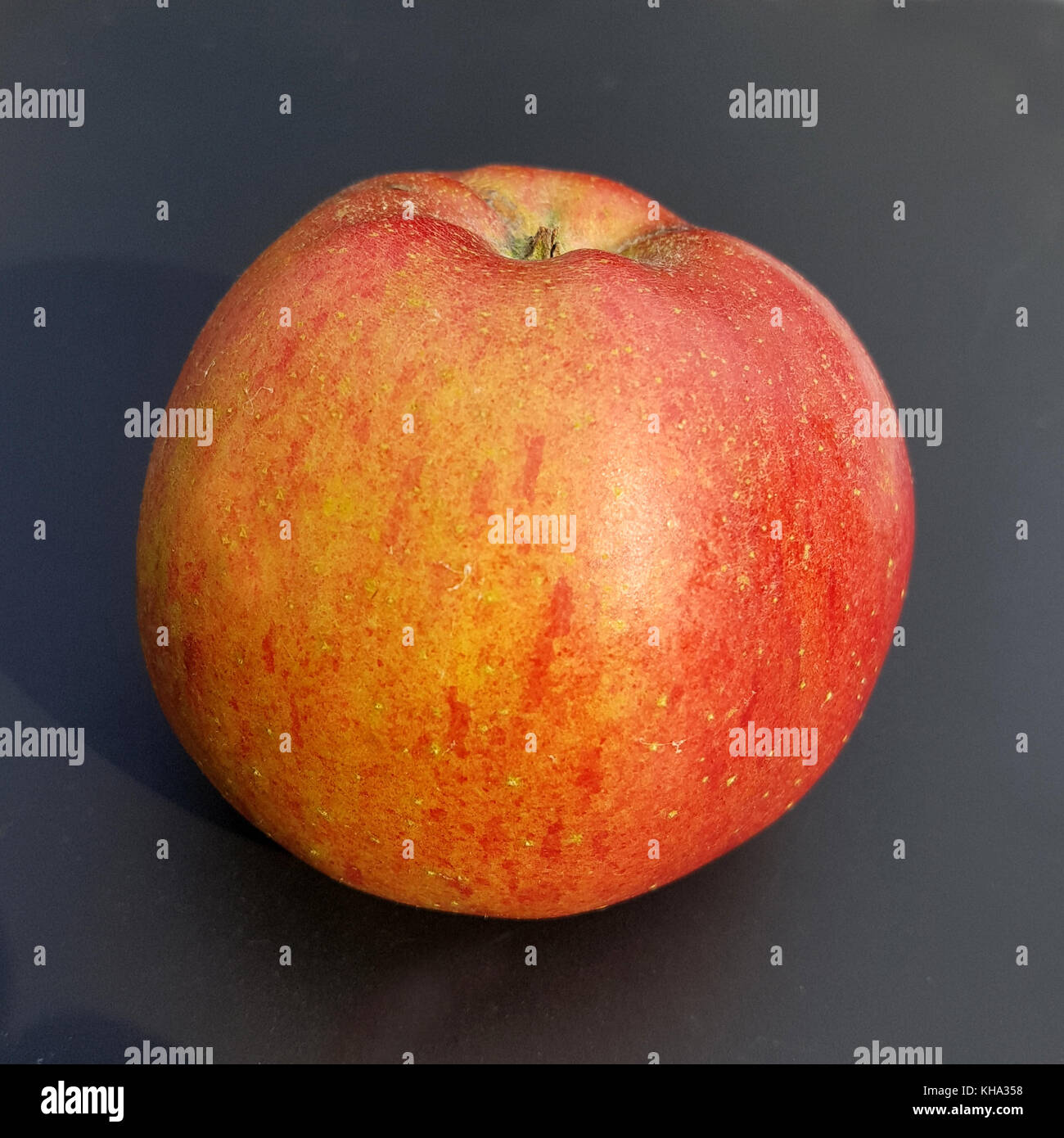 Melrose, Apfel, Malus, domestica, Alte Apfelsorte Stock Photo - Alamy