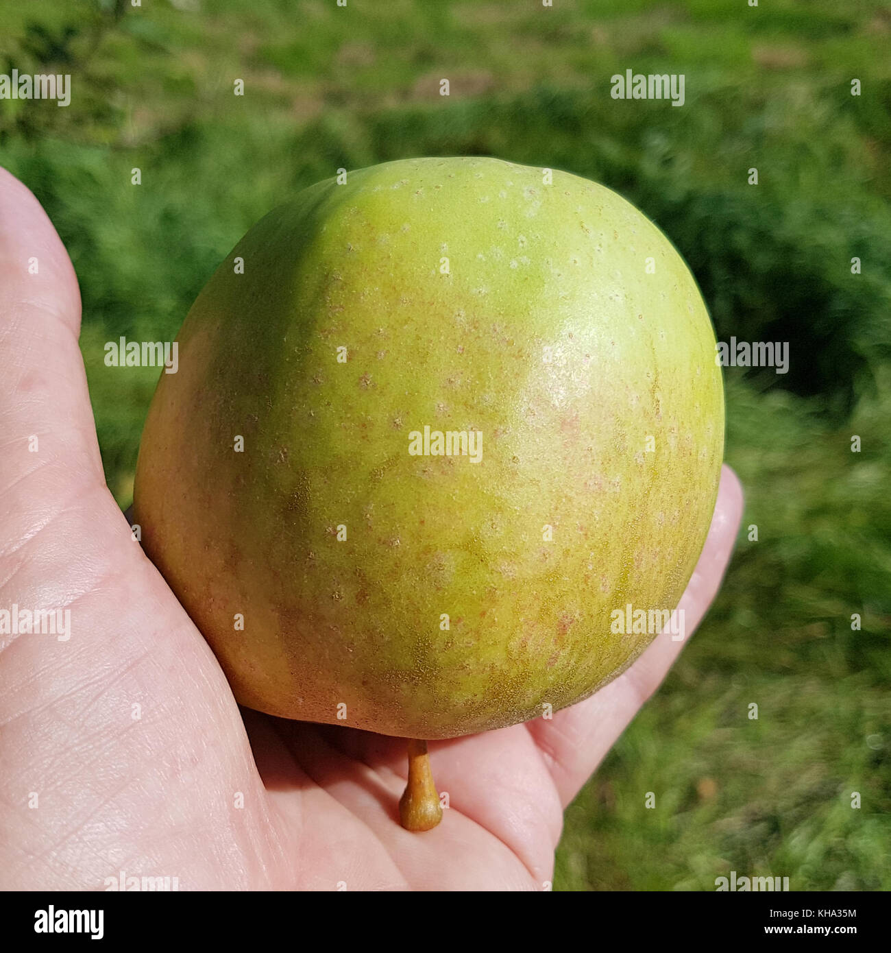 Francoper prince hi-res stock photography and images - Alamy