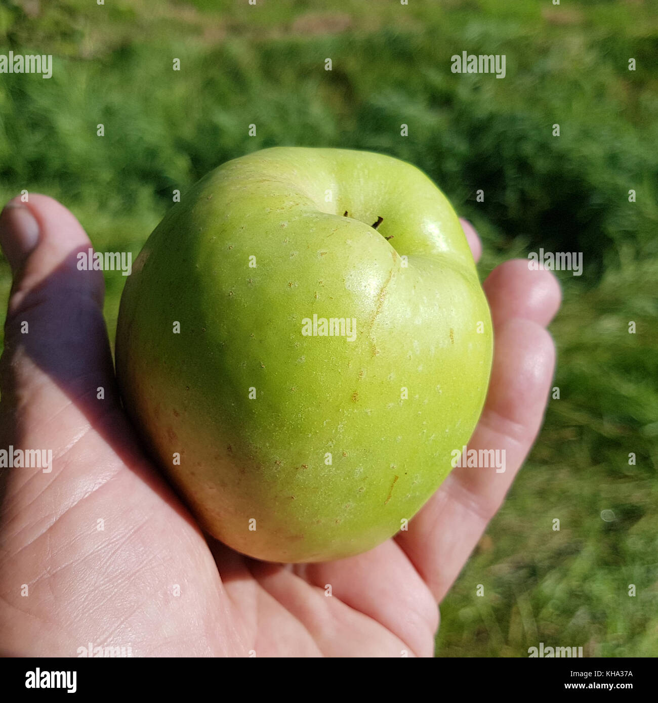 Francoper prince hi-res stock photography and images - Alamy