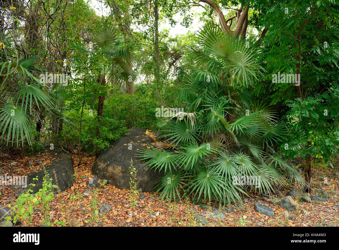 Pico Turquino Cuba High Resolution Stock Photography and Images - Alamy