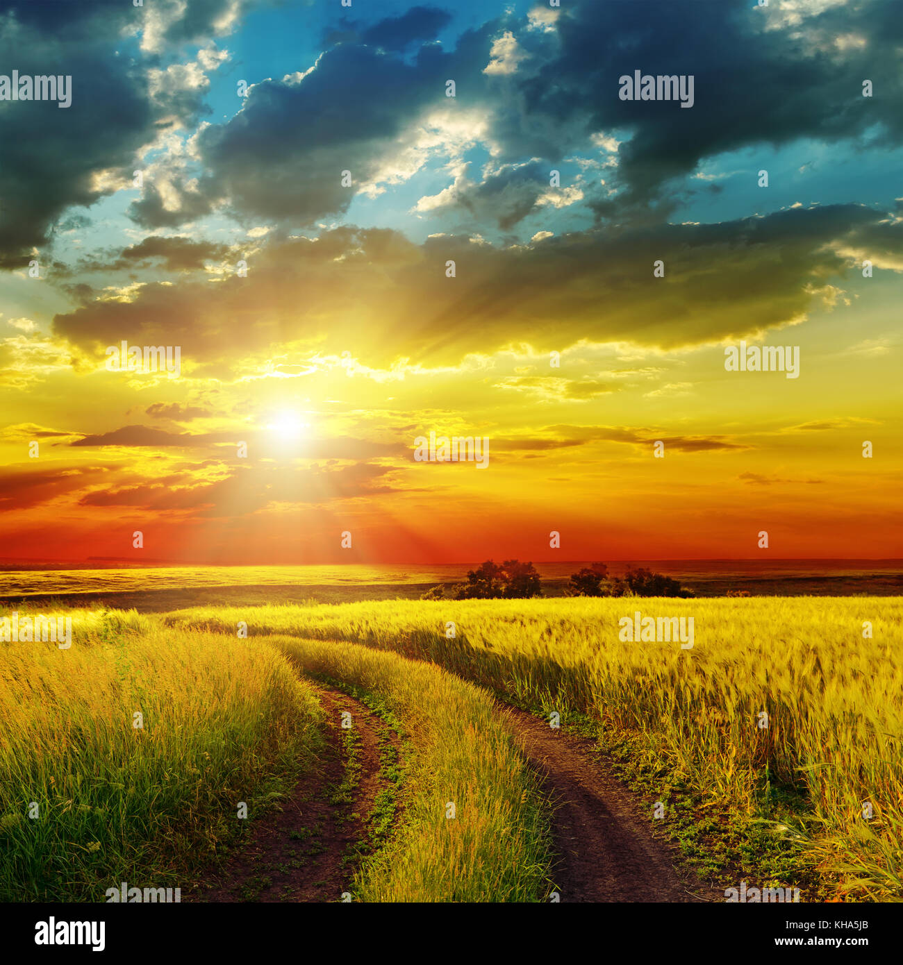 sunset over rural road near green field Stock Photo - Alamy