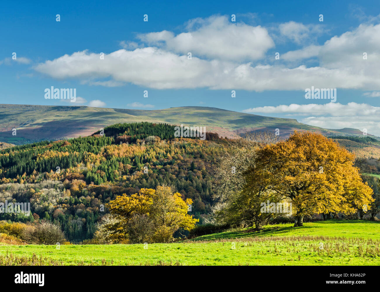 Pen cerrig calch in black mountains hi-res stock photography and images ...