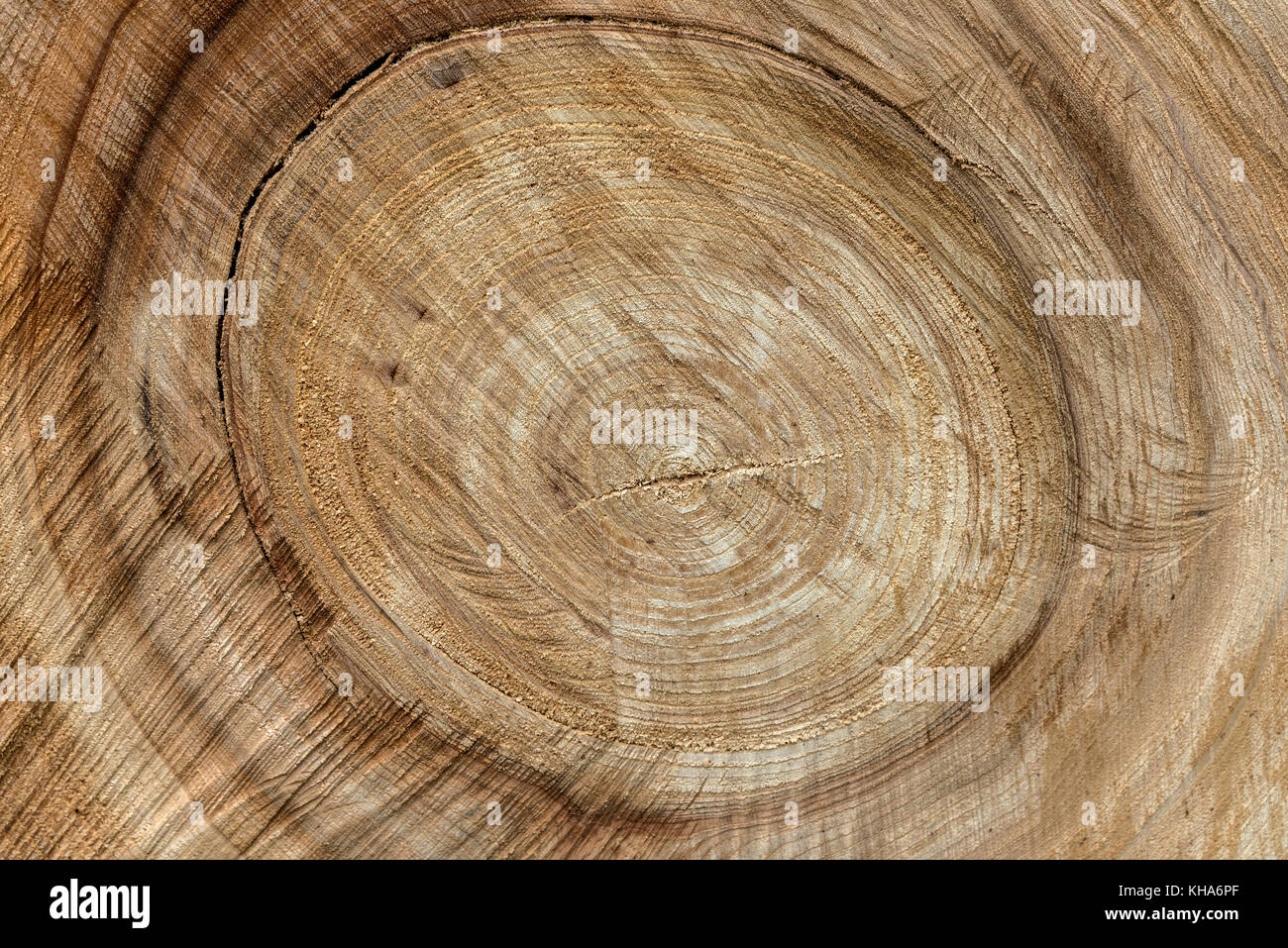 Radial background hi-res stock photography and images - Alamy