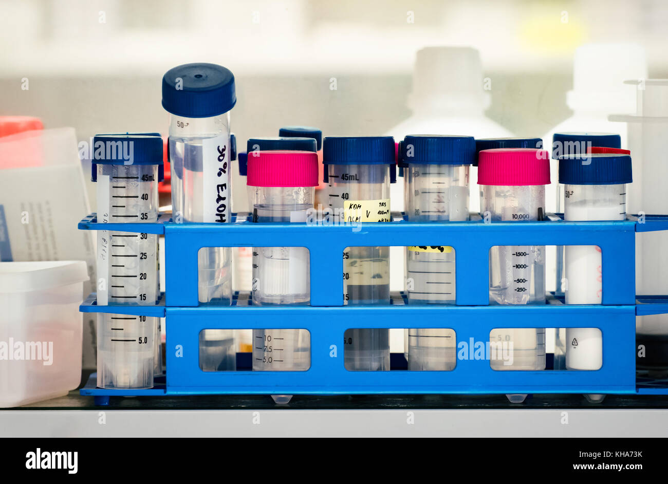 Plastic test tubes in plastic stand Stock Photo - Alamy