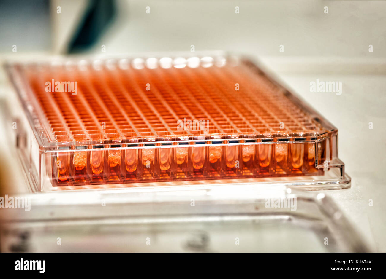 Microplate for micropipette used in biochemistry Stock Photo - Alamy