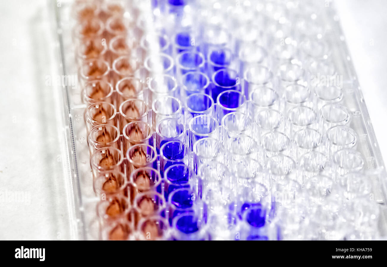 Micropipette hi-res stock photography and images - Alamy