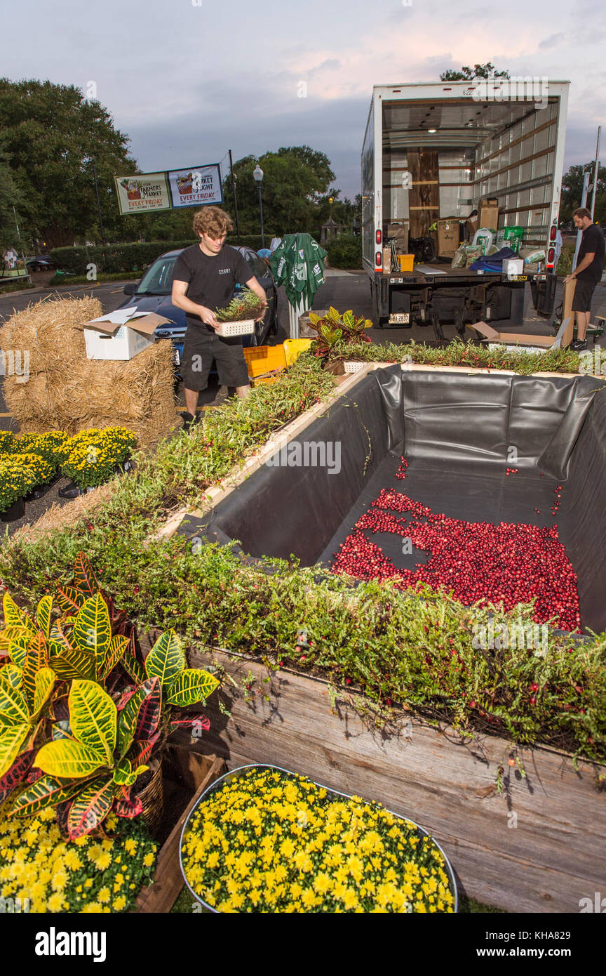 Ocean spray cranberries hi-res stock photography and images - Alamy
