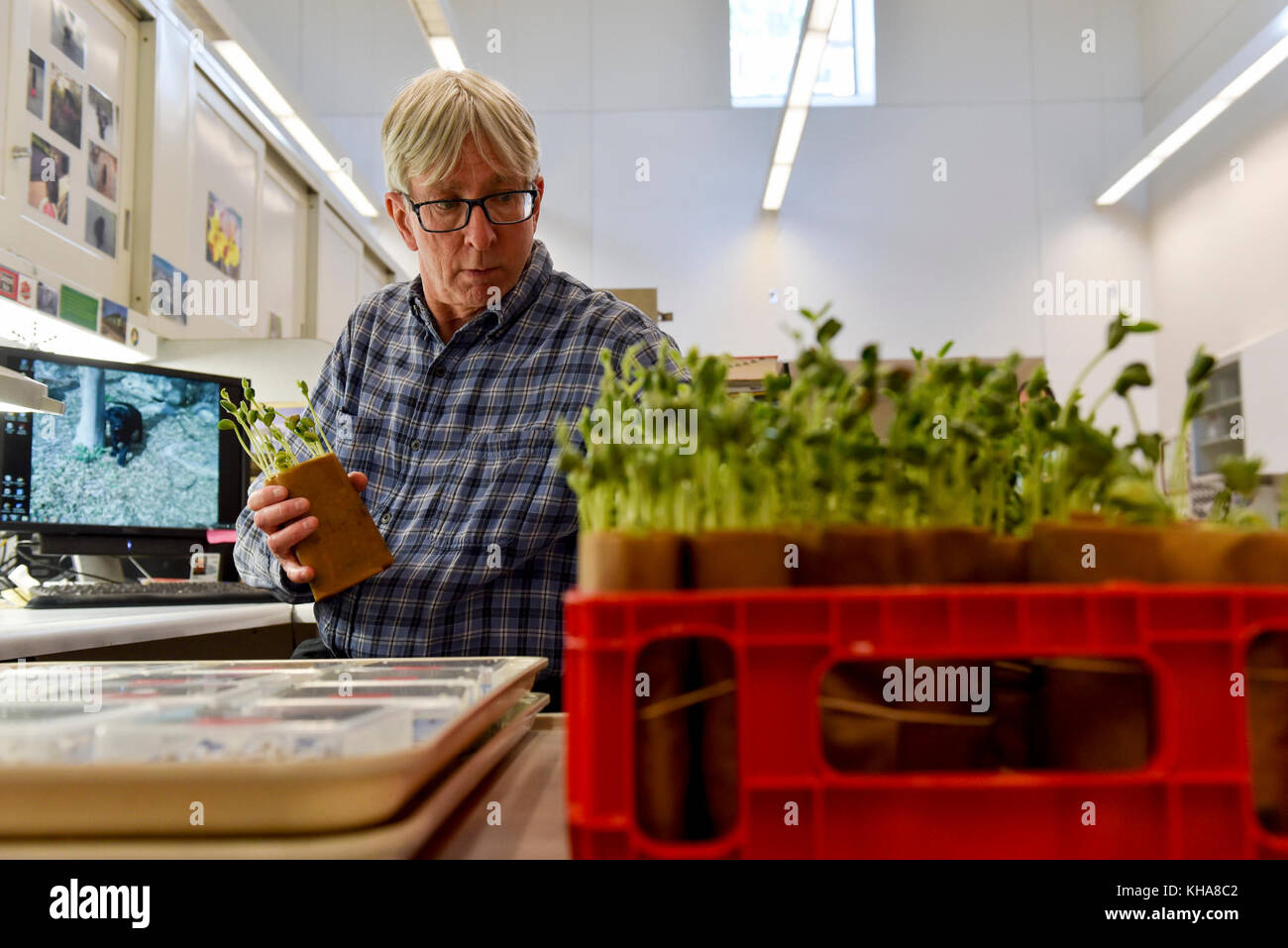 U. S. Department of Agriculture (USDA) Agricultural Research Service ...