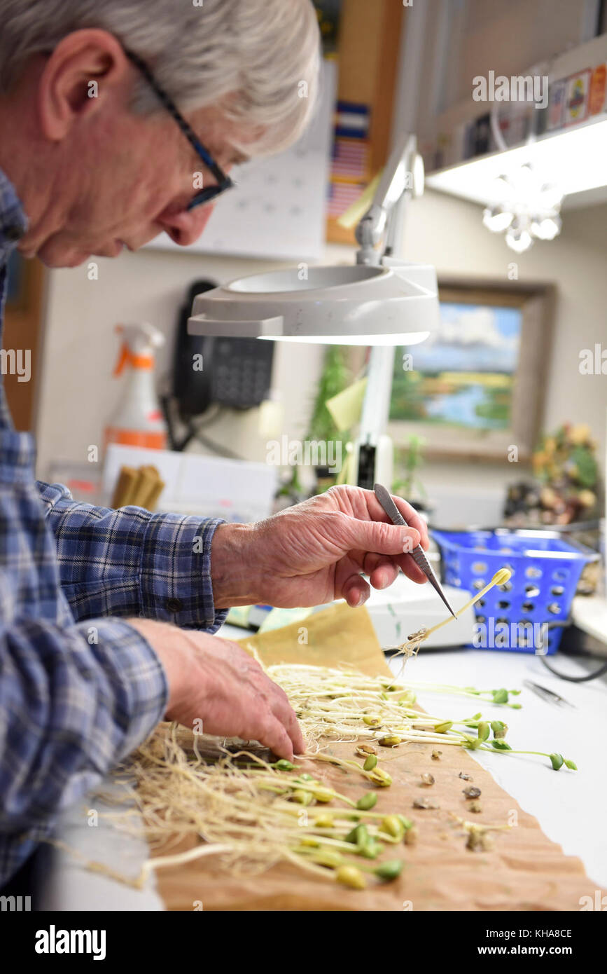 National laboratory for genetic resources preservation hi-res stock ...