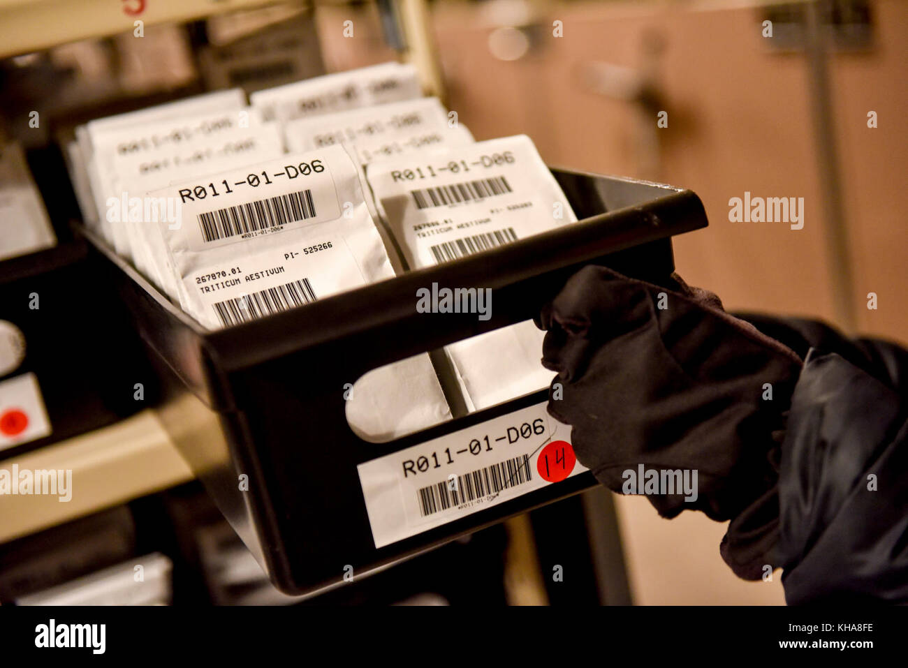 National seed storage laboratory hi-res stock photography and images ...