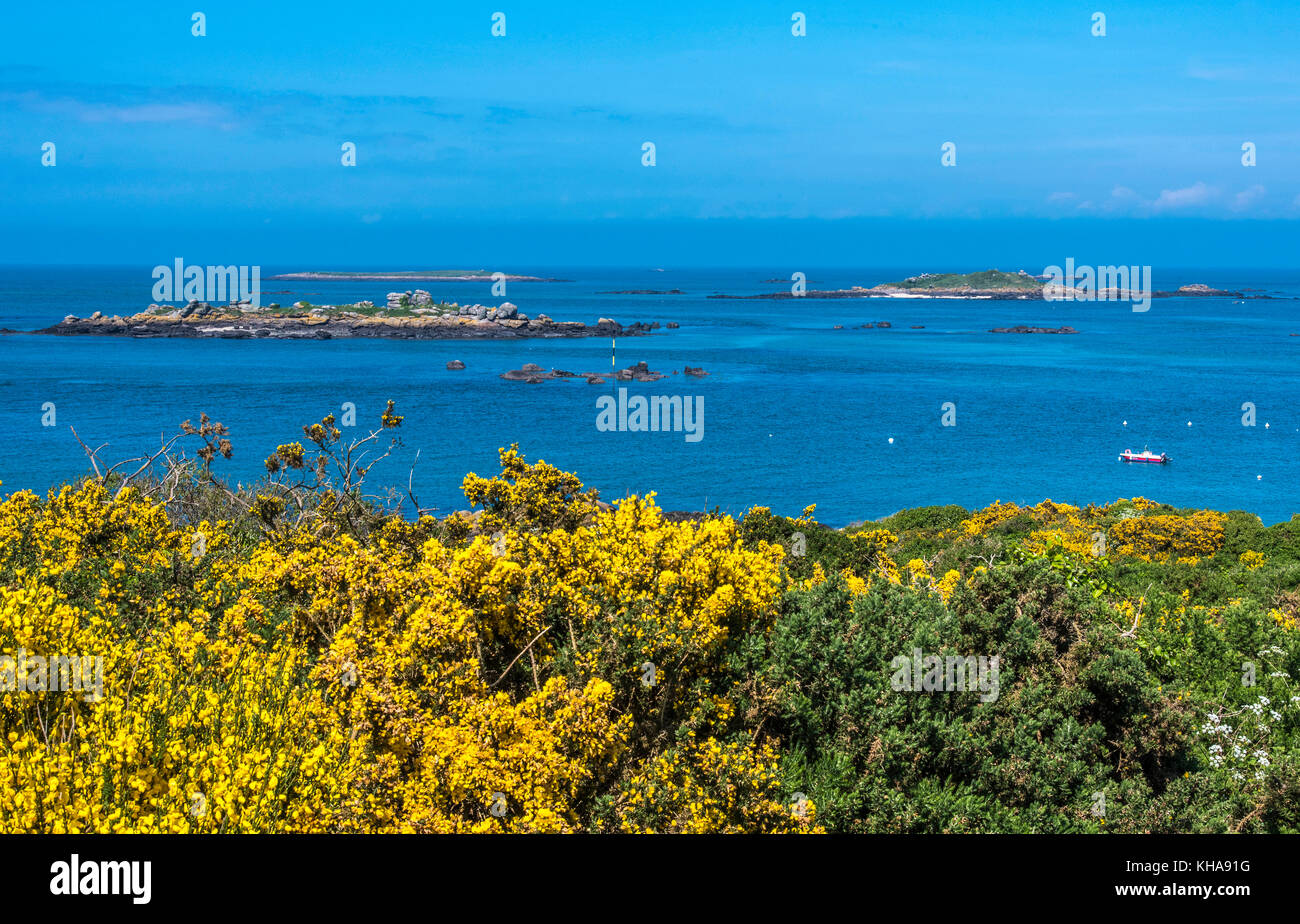 Normandy, Manche, the Chausey archipelago Stock Photo - Alamy
