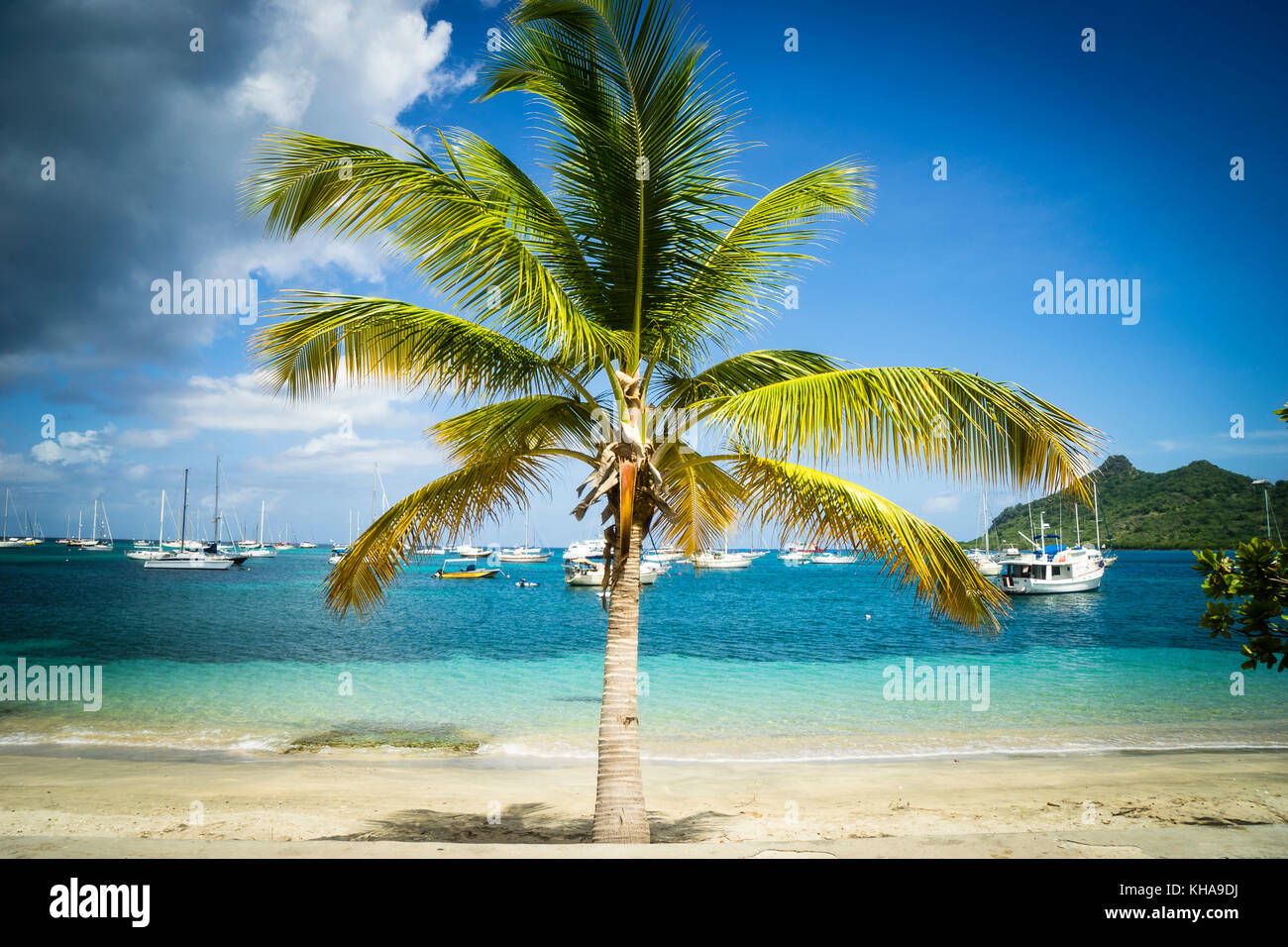 Tyrell Bay's beach, Carricaou, Grenada, West Indies Stock Photo - Alamy