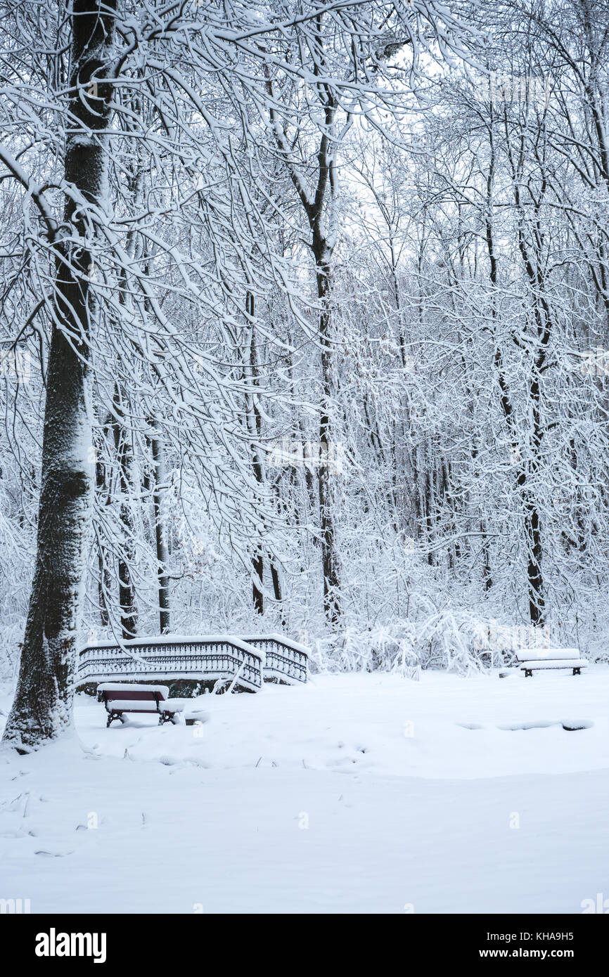 Beautiful winter snowy landscape in the park Stock Photo - Alamy