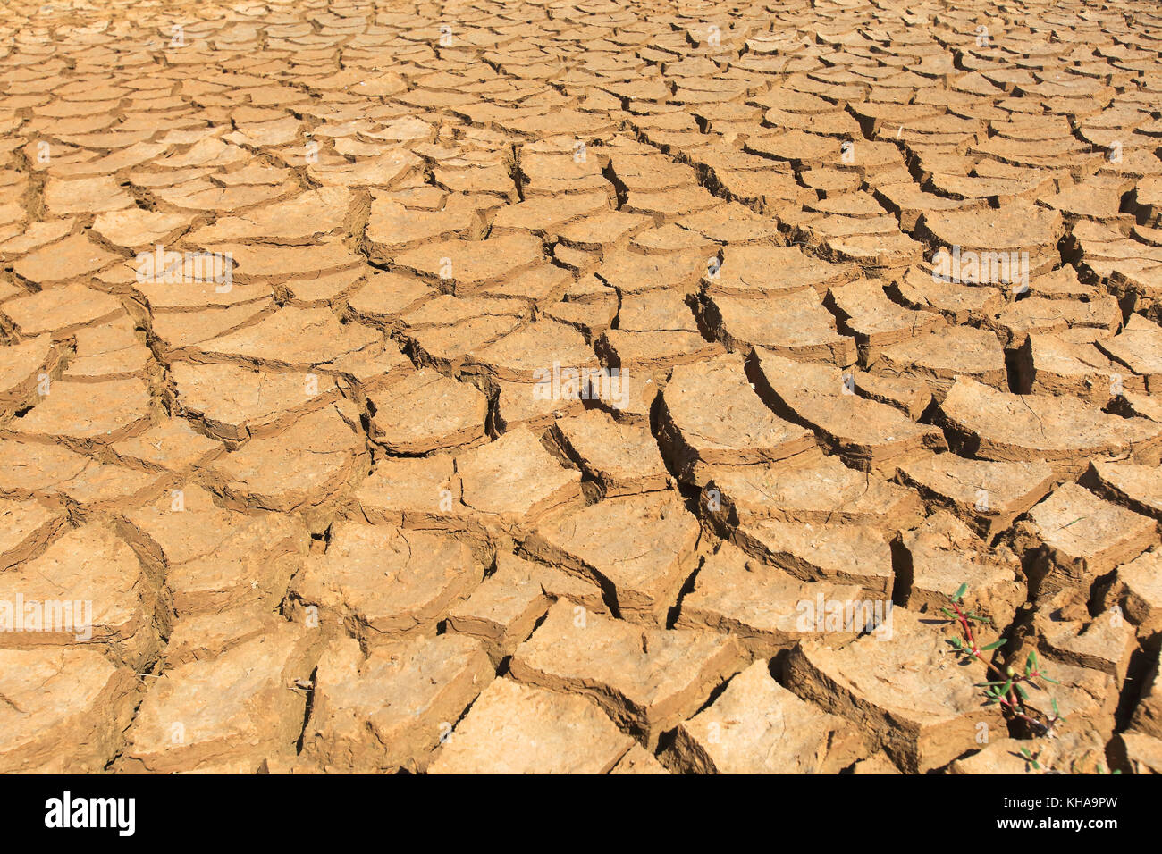 Dryness business hi-res stock photography and images - Alamy