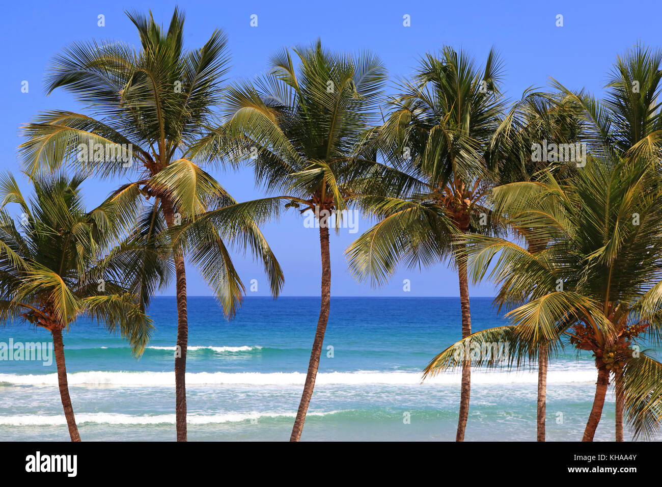 Venezuela, Margarita Island. Guacuco beach Stock Photo - Alamy