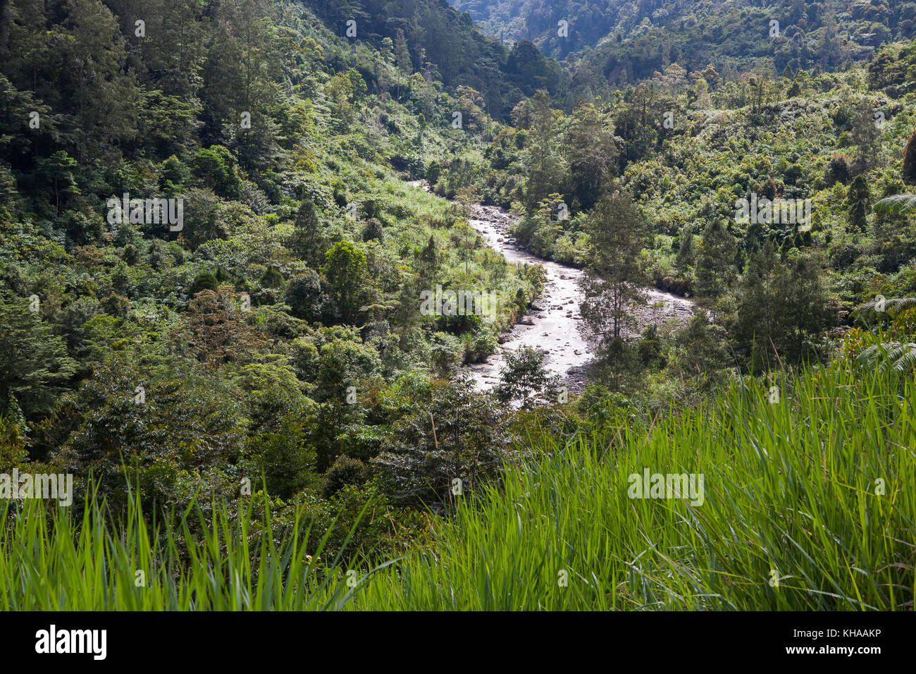 Telefomin High Resolution Stock Photography and Images - Alamy