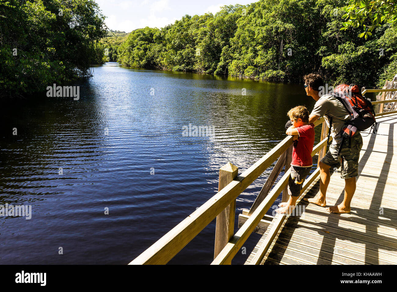 A father and his son on a wooden path on the Saint-Louis's river, Marie ...