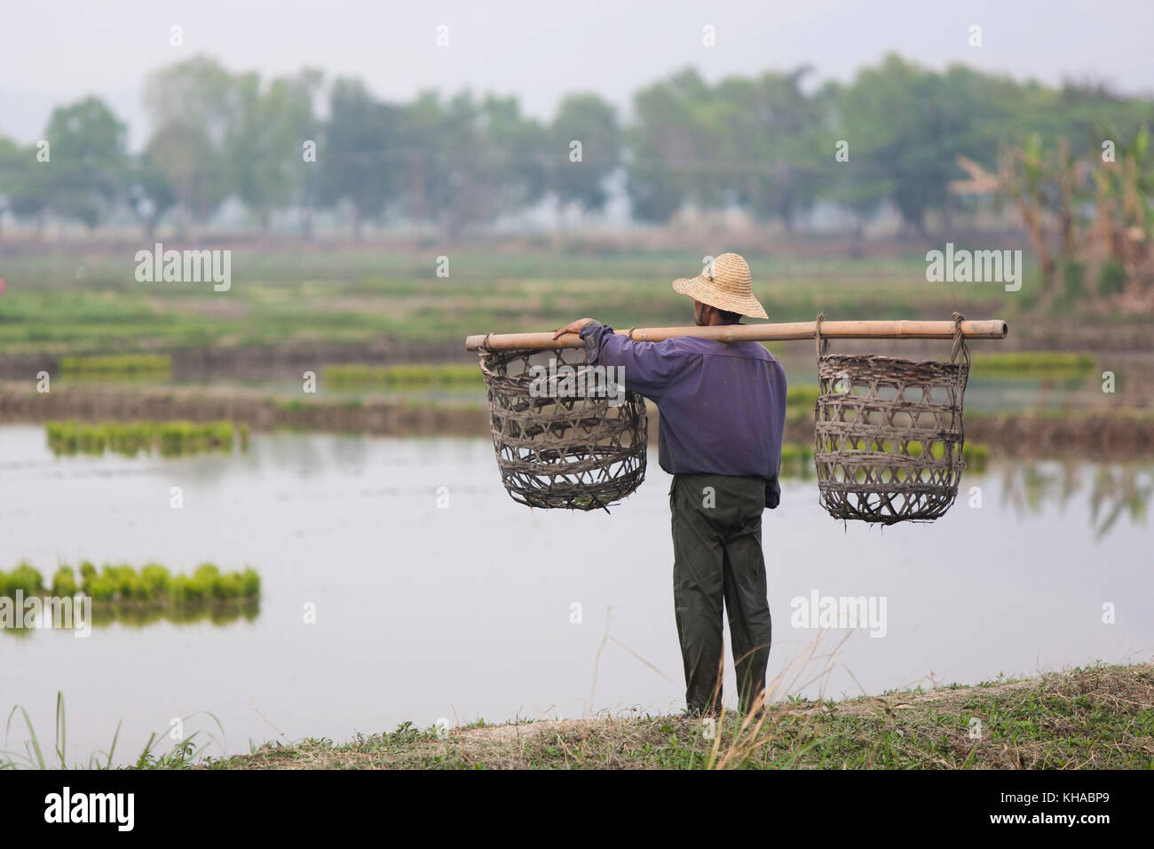 Water Carrying Yoke High Resolution Stock Photography and Images - Alamy