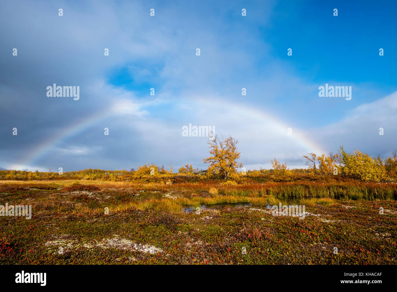 Small lake, autumnal landscape with rainbow, Norrbottens, Norrbottens ...