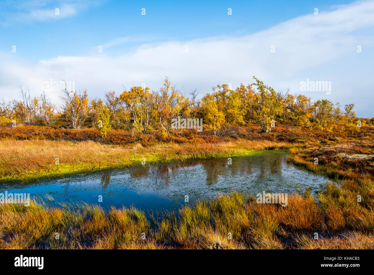 Small lake in autumnal landscape, Norrbottens, Norrbottens län, Laponia ...