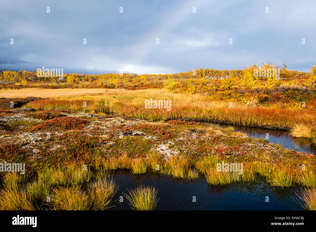 Small lake, autumnal landscape with rainbow, Norrbottens, Norrbottens ...