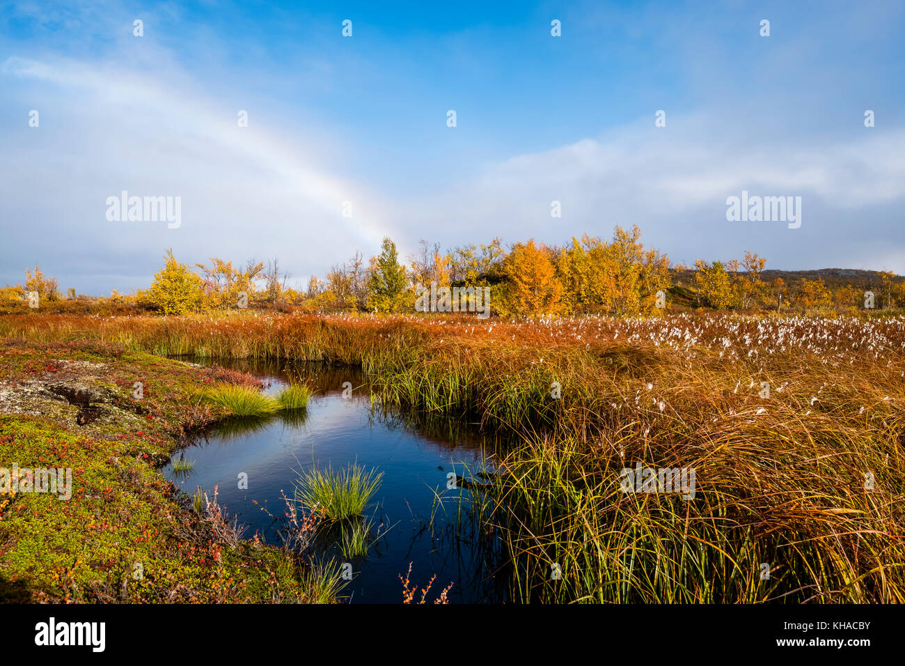 Small lake, autumnal landscape with rainbow, Norrbottens, Norrbottens ...