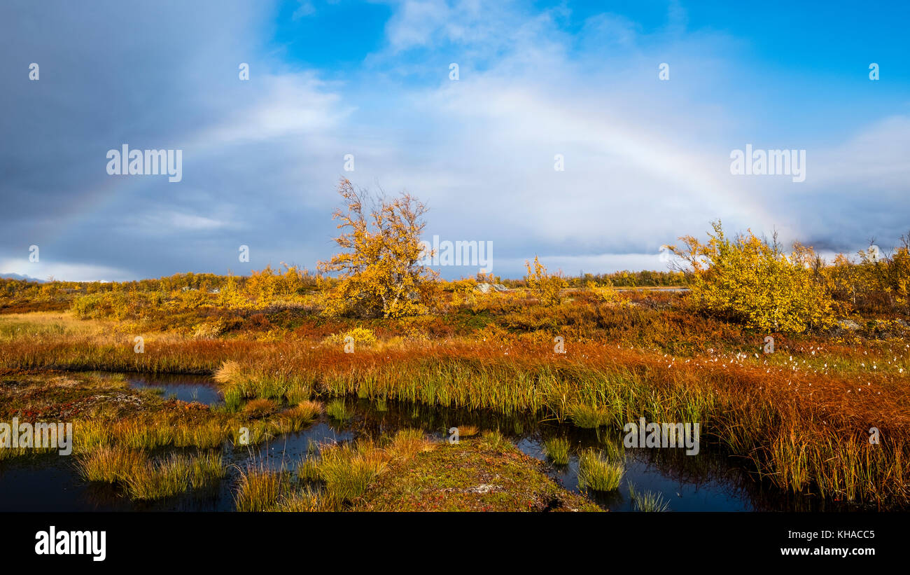 Small lake, autumnal landscape with rainbow, Norrbottens, Norrbottens ...