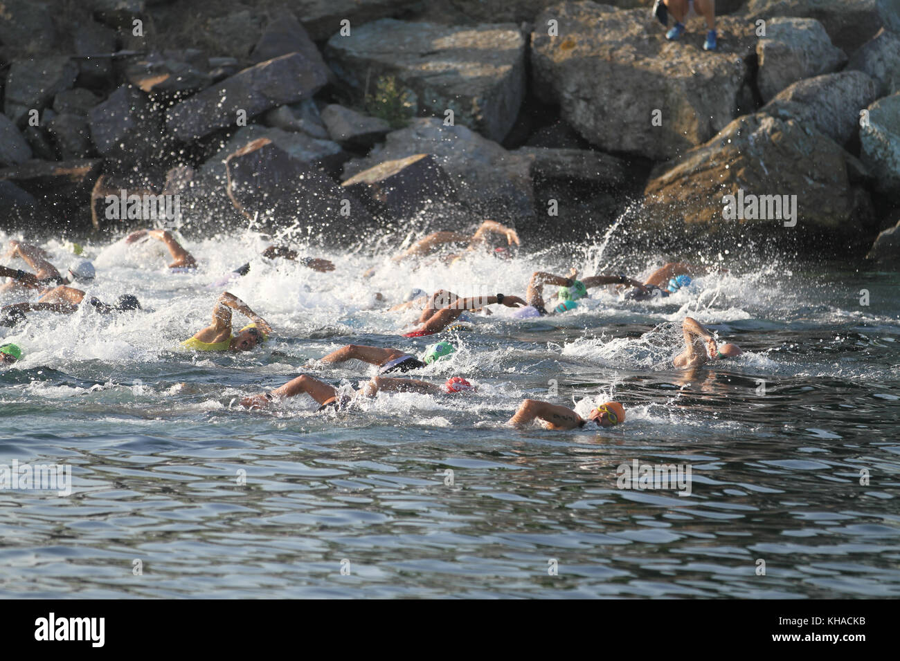 ISTANBUL, TURKEY - AUGUST 13, 2017: Athletes competing in swimming ...