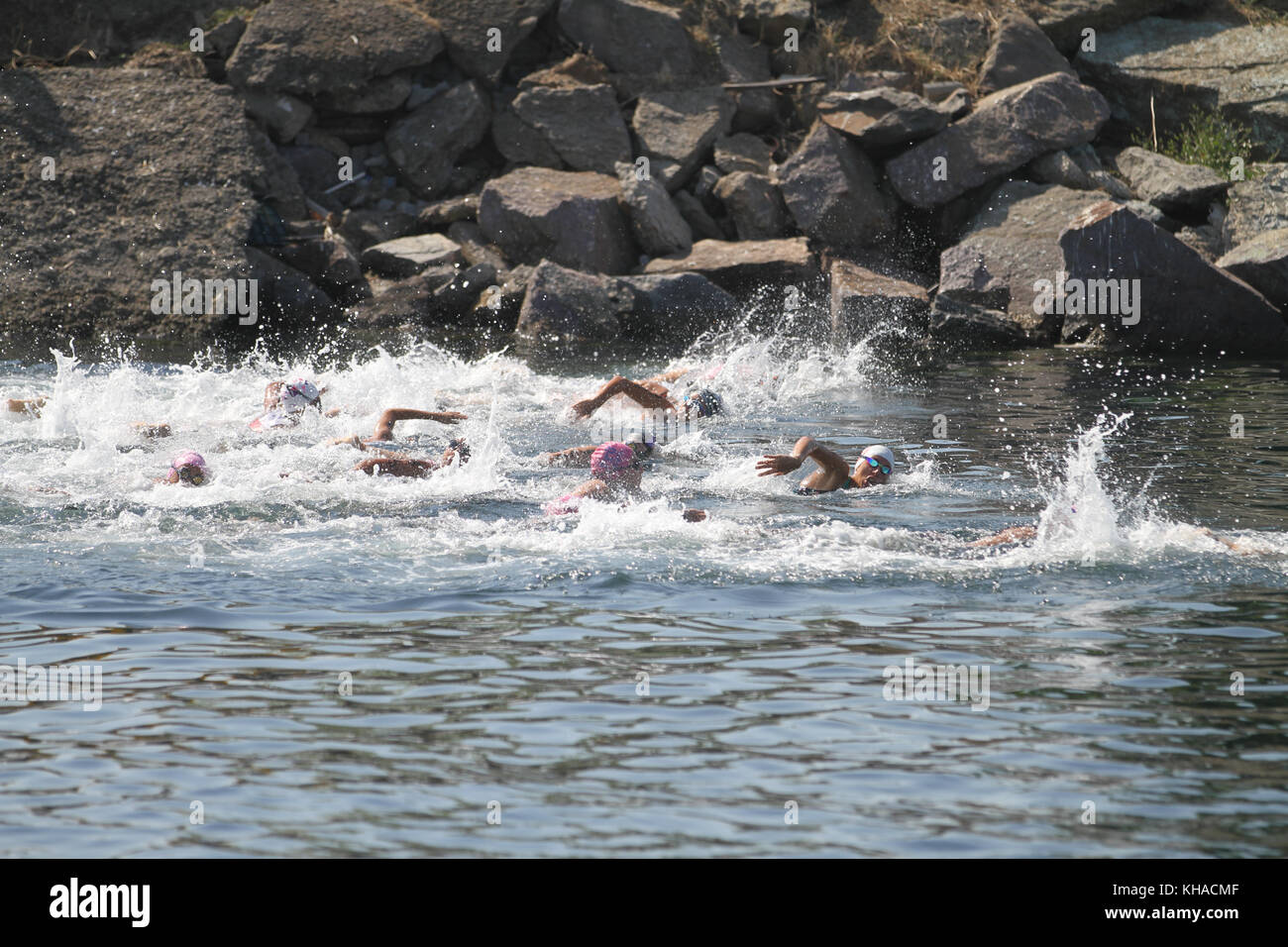 ISTANBUL, TURKEY - AUGUST 13, 2017: Athletes competing in swimming ...