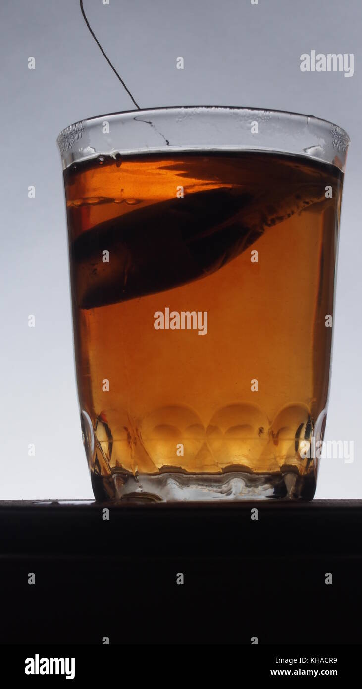 Glass transparent glass of the brewed tea. Tea is in a tea bag. Still ...