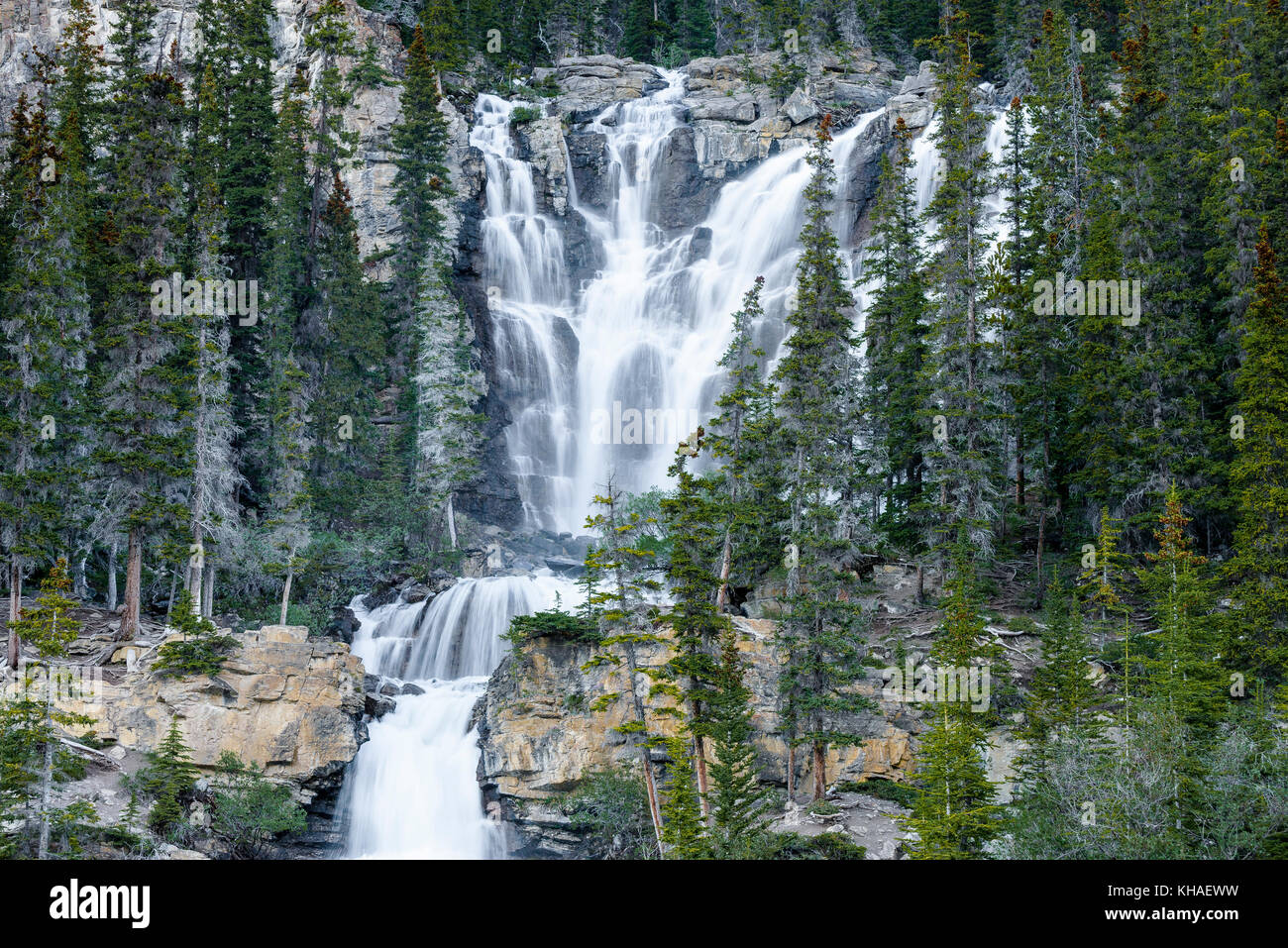 Tangle Falls, Jasper National Park, Alberta, Canada Stock Photo - Alamy