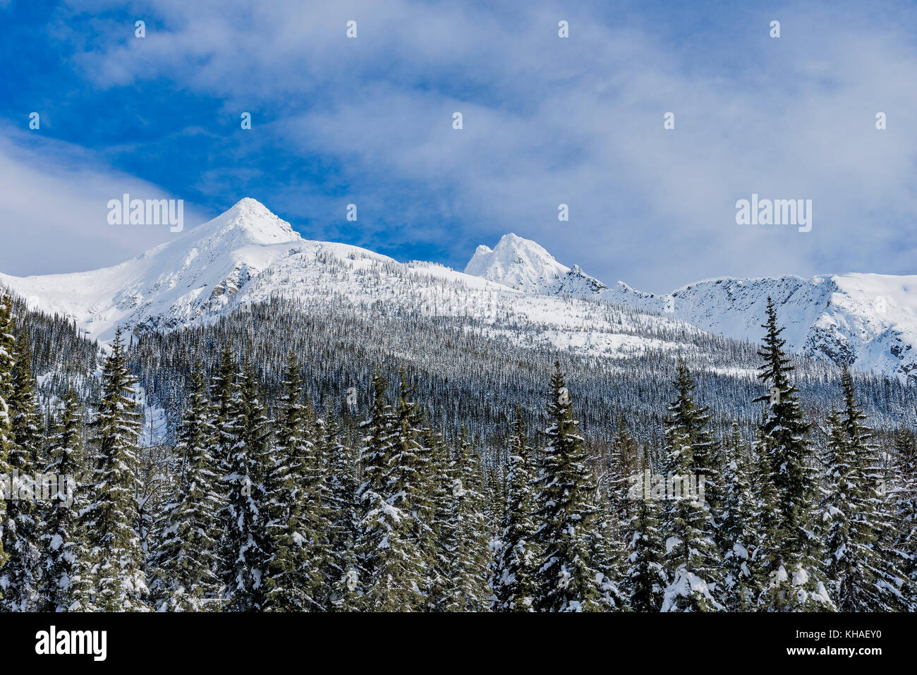 Rogers pass british columbia hi-res stock photography and images - Alamy