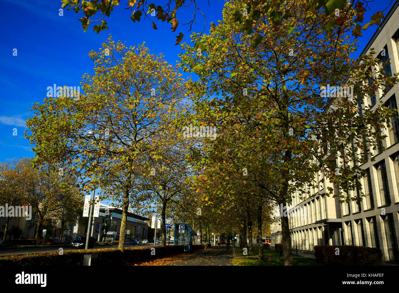 Light pollution on nature hi-res stock photography and images - Alamy