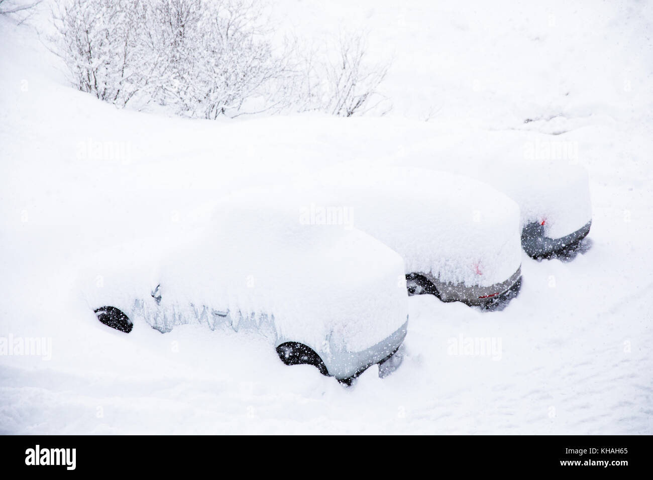 Cars covered with a snow Stock Photo - Alamy
