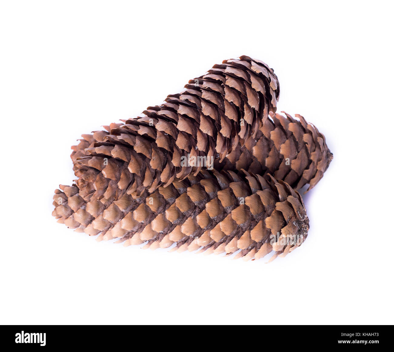 three whole brown cones isolated on white background Stock Photo - Alamy