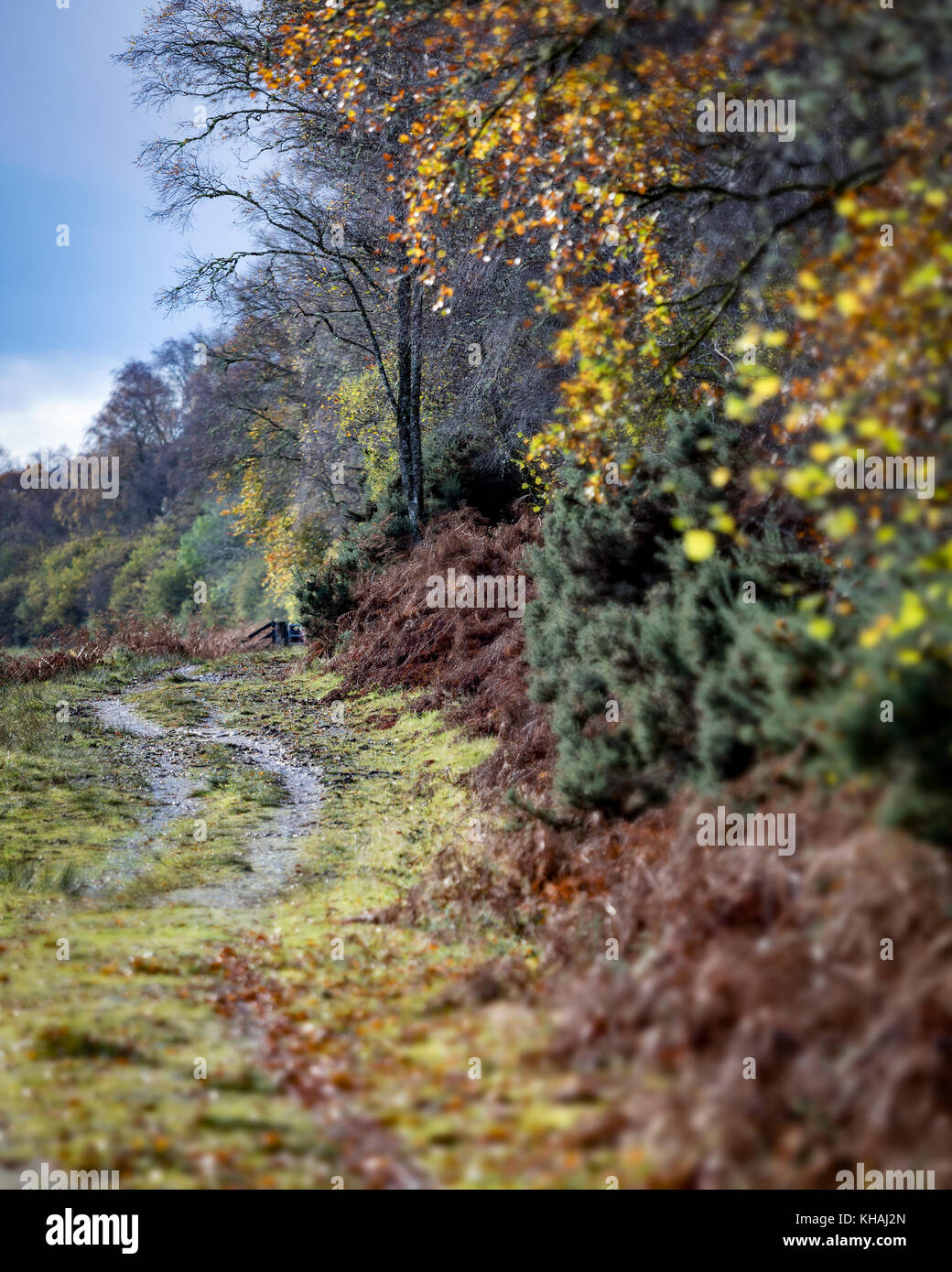 Towpath/footpath along the Caladonian Canal, Fort William Stock Photo ...