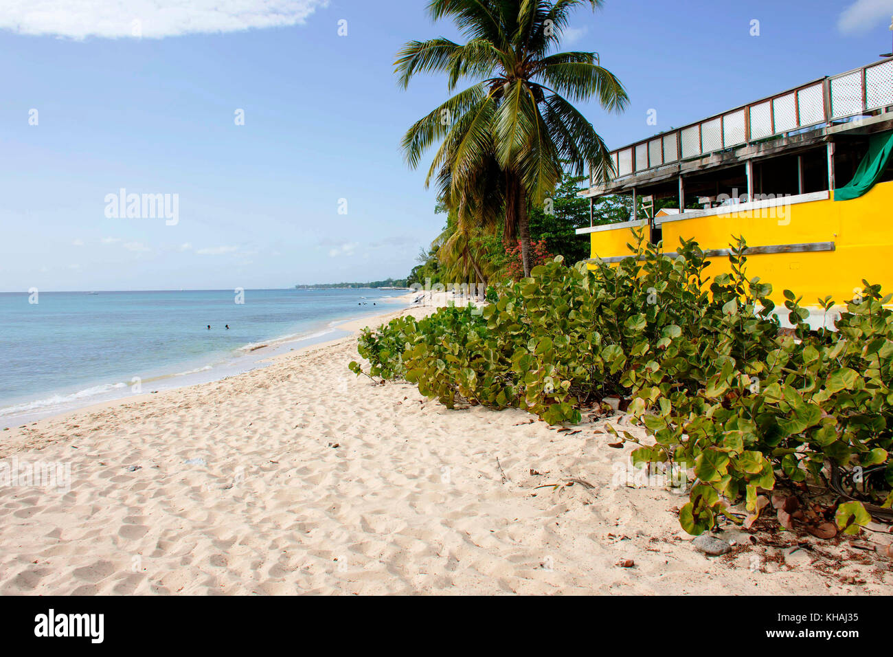 Beaches in Barbados Stock Photo - Alamy