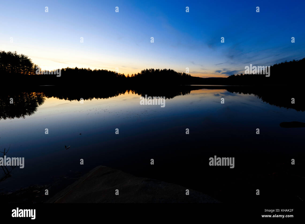 Sunset on a forest lake Stock Photo - Alamy