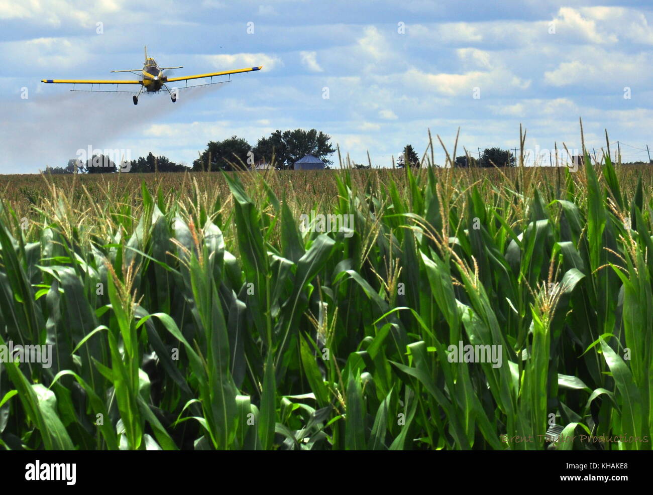 Air Tractor spraying corn field. Ag aviation is a major component in ...