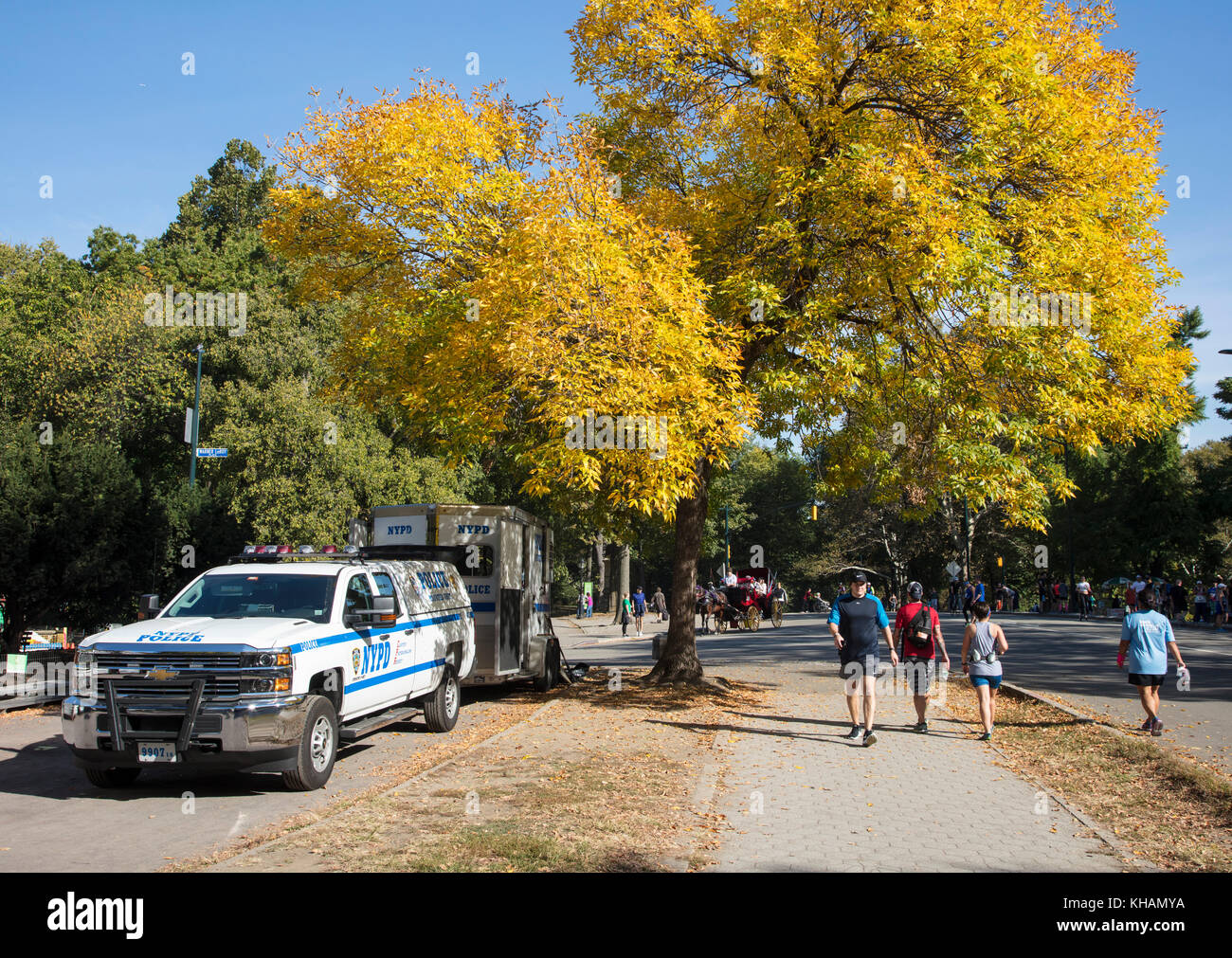 Sunday in Central Park New York Stock Photo - Alamy