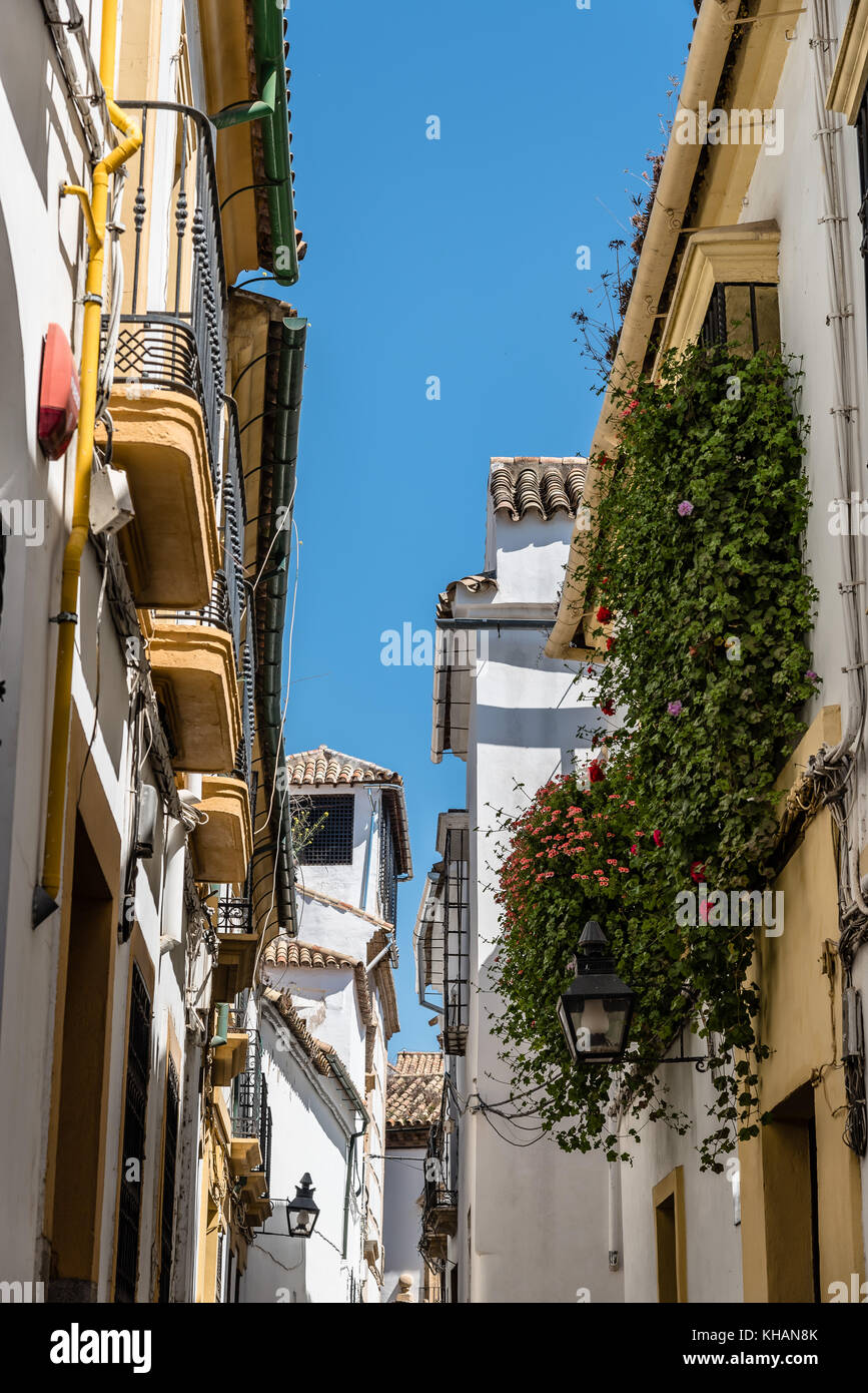 Street in the old city of Cordoba Stock Photo - Alamy