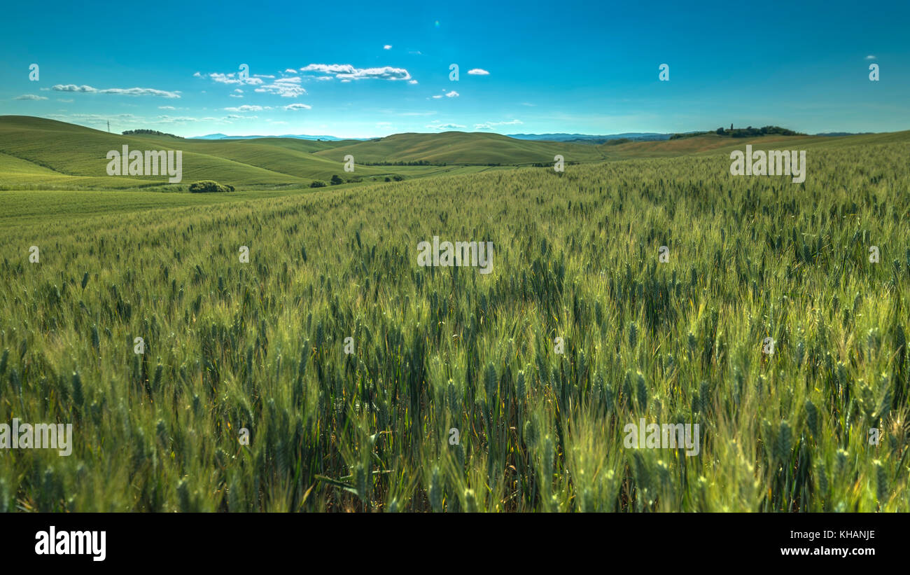 Liguria, Italy, Beautiful scenery, Spring Tuscany, grass, picturesque ...