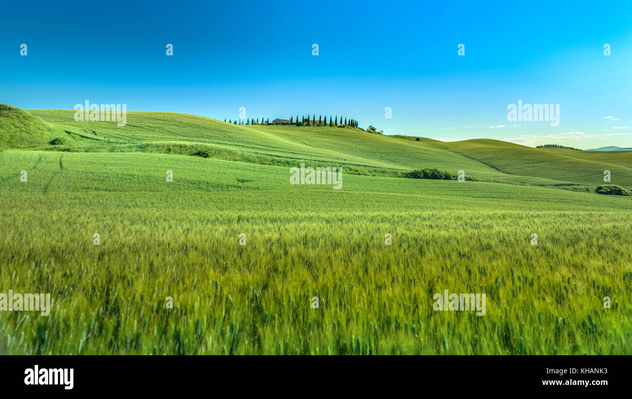 Liguria, Italy, Beautiful scenery, Spring Tuscany, grass, picturesque ...