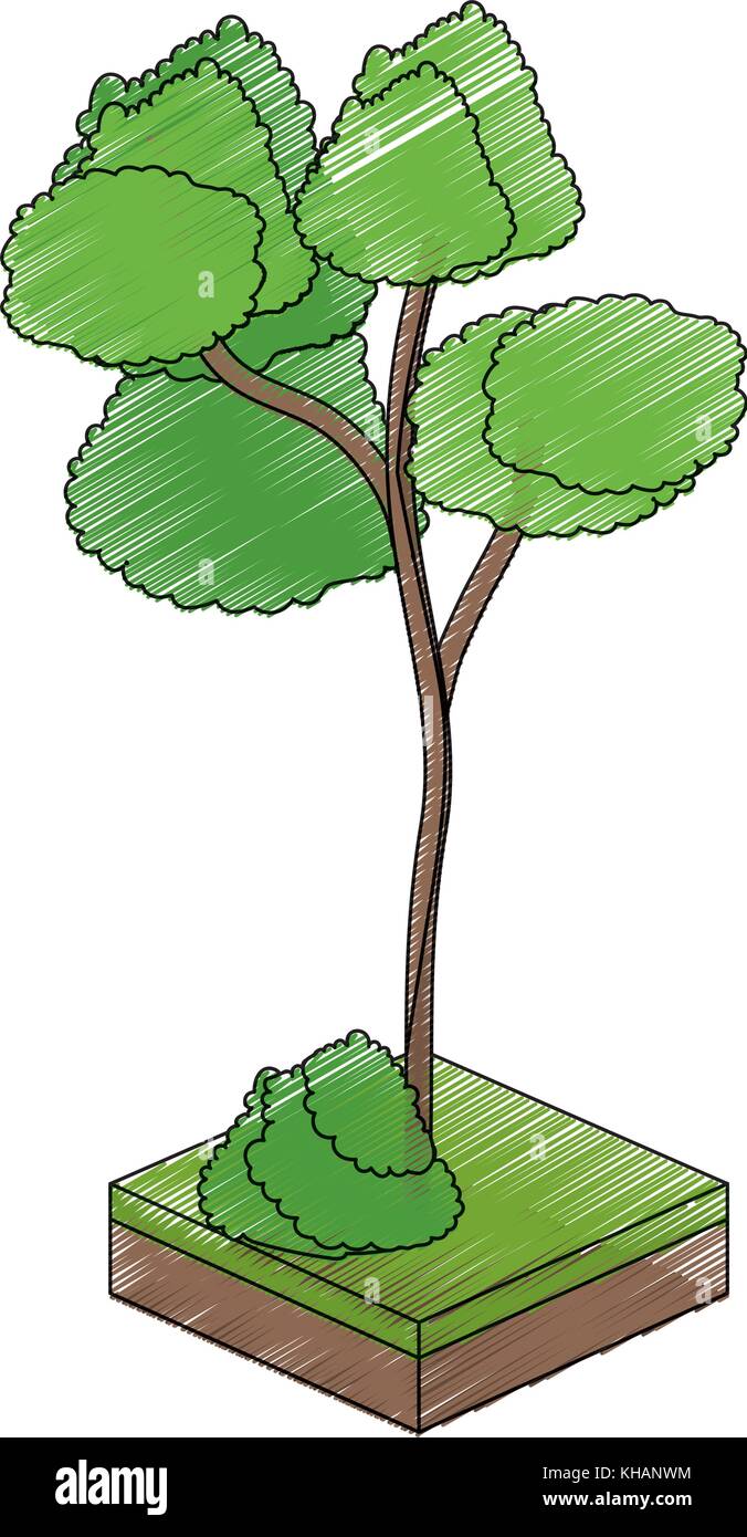 Tree of plant nature and botany theme Isolated design Vector ...