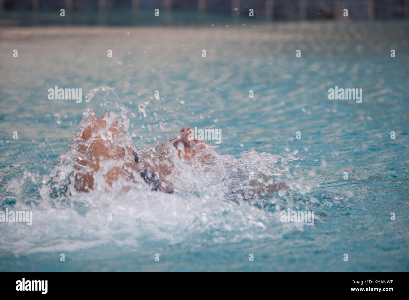 Swimmer in pool splashing Stock Photo - Alamy