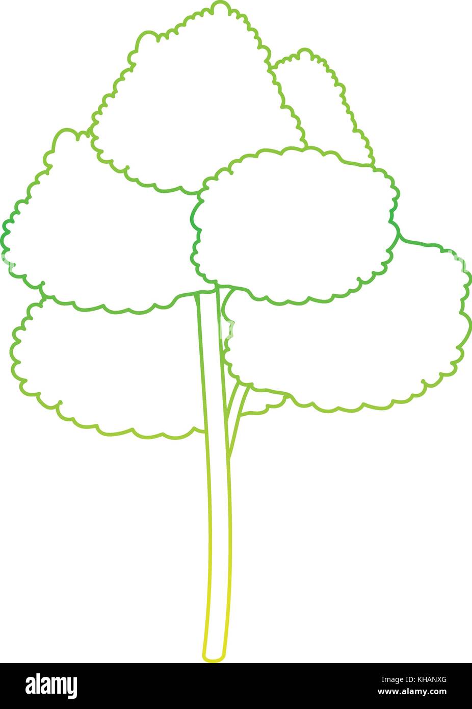 Tree of plant nature and botany theme Isolated design Vector ...