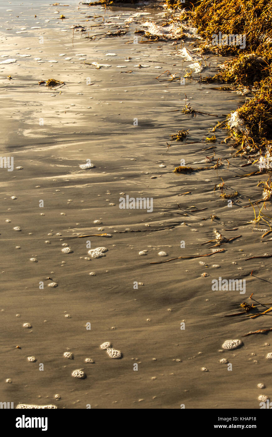 Wet sand and seaweed Stock Photo - Alamy