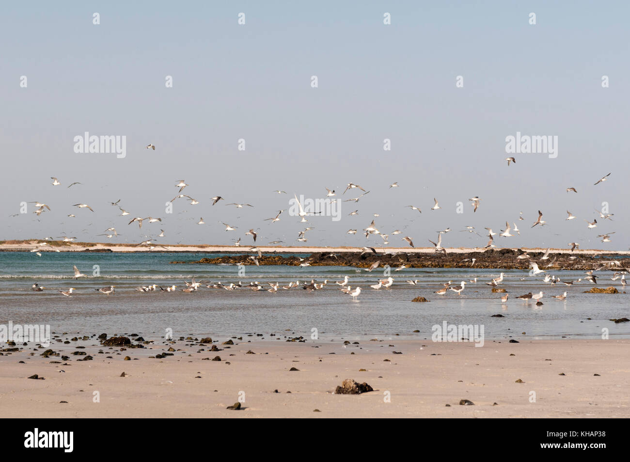 Masirah island, Oman Stock Photo - Alamy