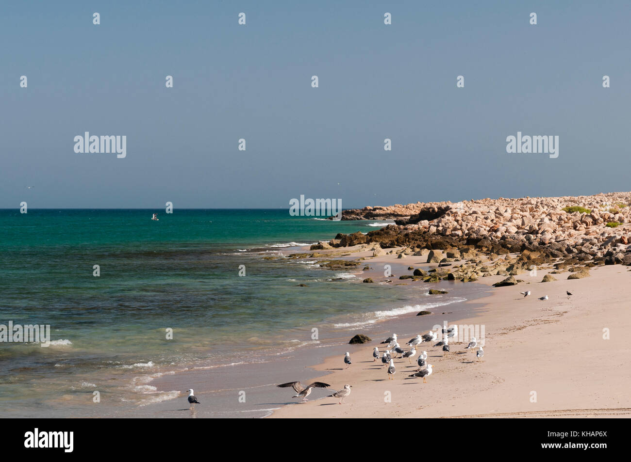 Ras Al Hadd, Oman Stock Photo - Alamy
